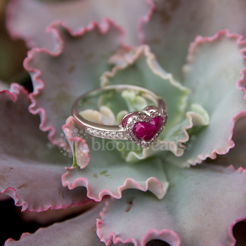 CZ Single Heart Ring – bloom-beads-official